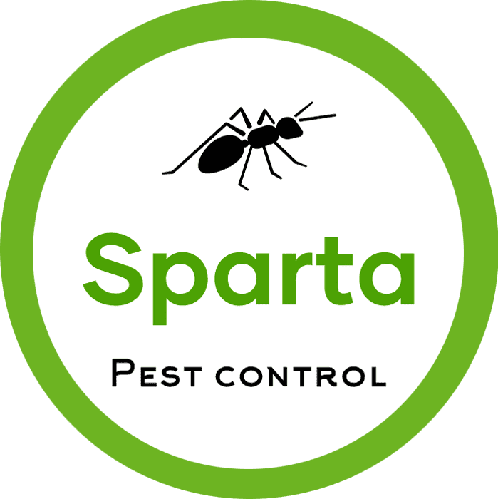 Local Pest Control Services in Enfield and North London