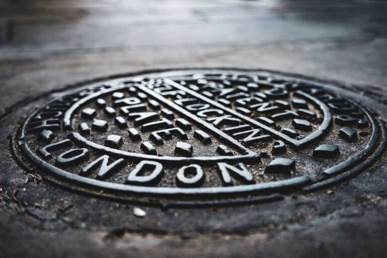 Rats in Drains - Rat Drain Blockers and What to Do Best Advice